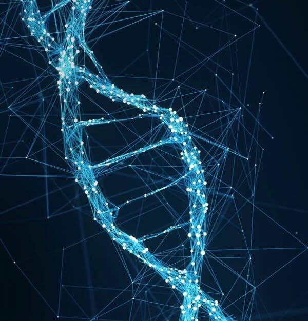 Biopractify - Learn, Build & Get Certified in Biotech, Bioinformatics, AI & More